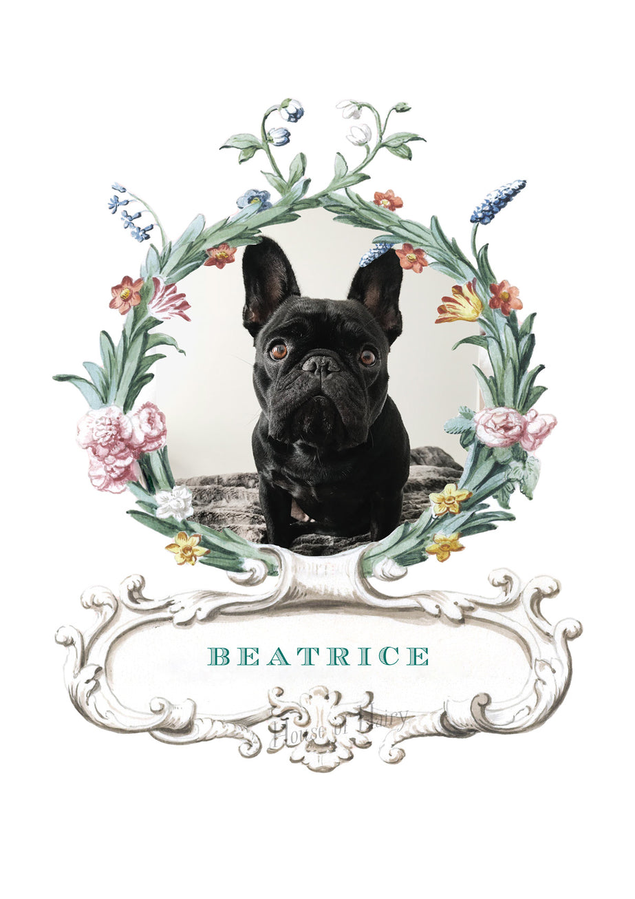 Collections – Miss Parfaite